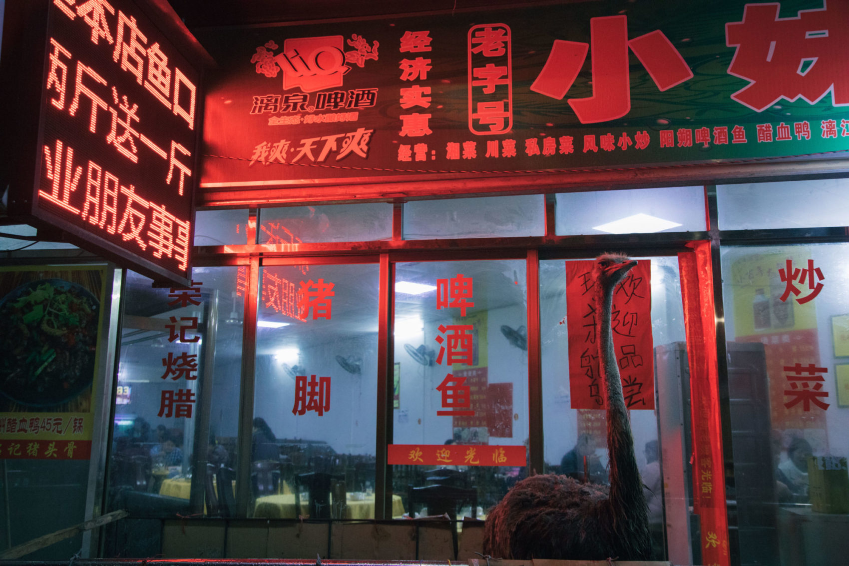 RED ASIA : Tour de la chine, Hong Kong, Taïwan et Malaisie.